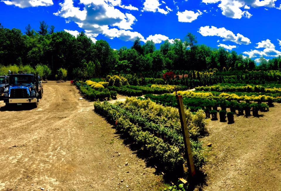 Home - Freshwater Farms