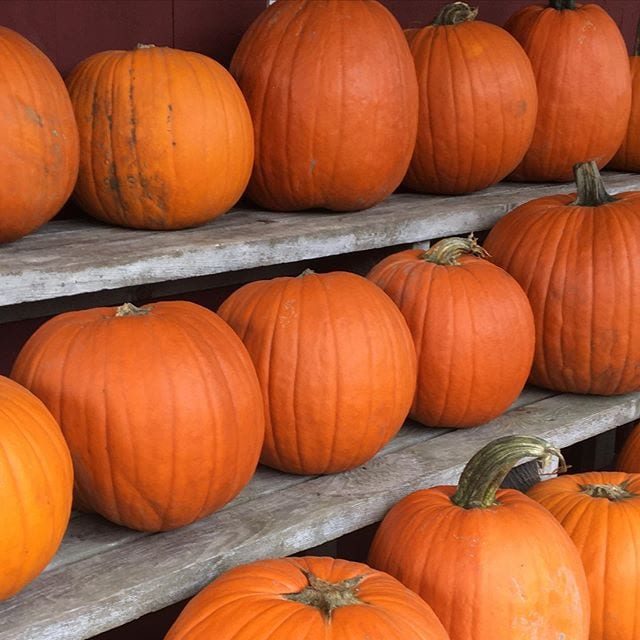 Home » Freshwater Farms