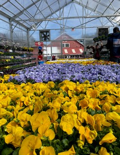 Home » Freshwater Farms