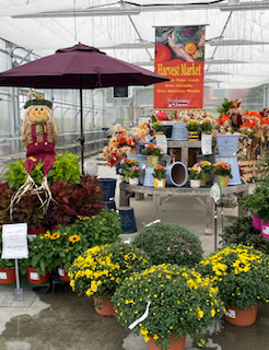 Home » Freshwater Farms