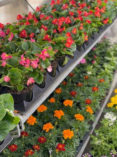 Home » Freshwater Farms